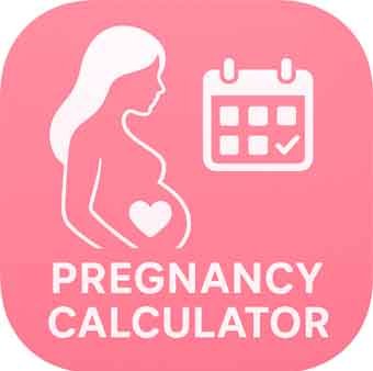 Pregnancy Calculator - Free Online Calculator